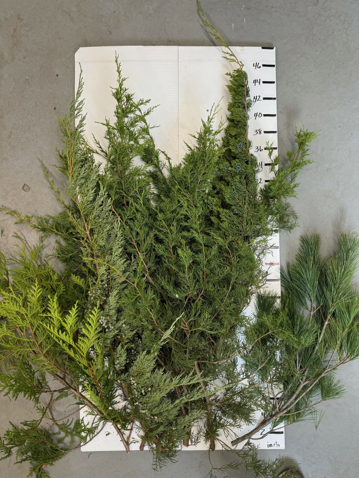 Jost Greenhouses – Midwest Proven